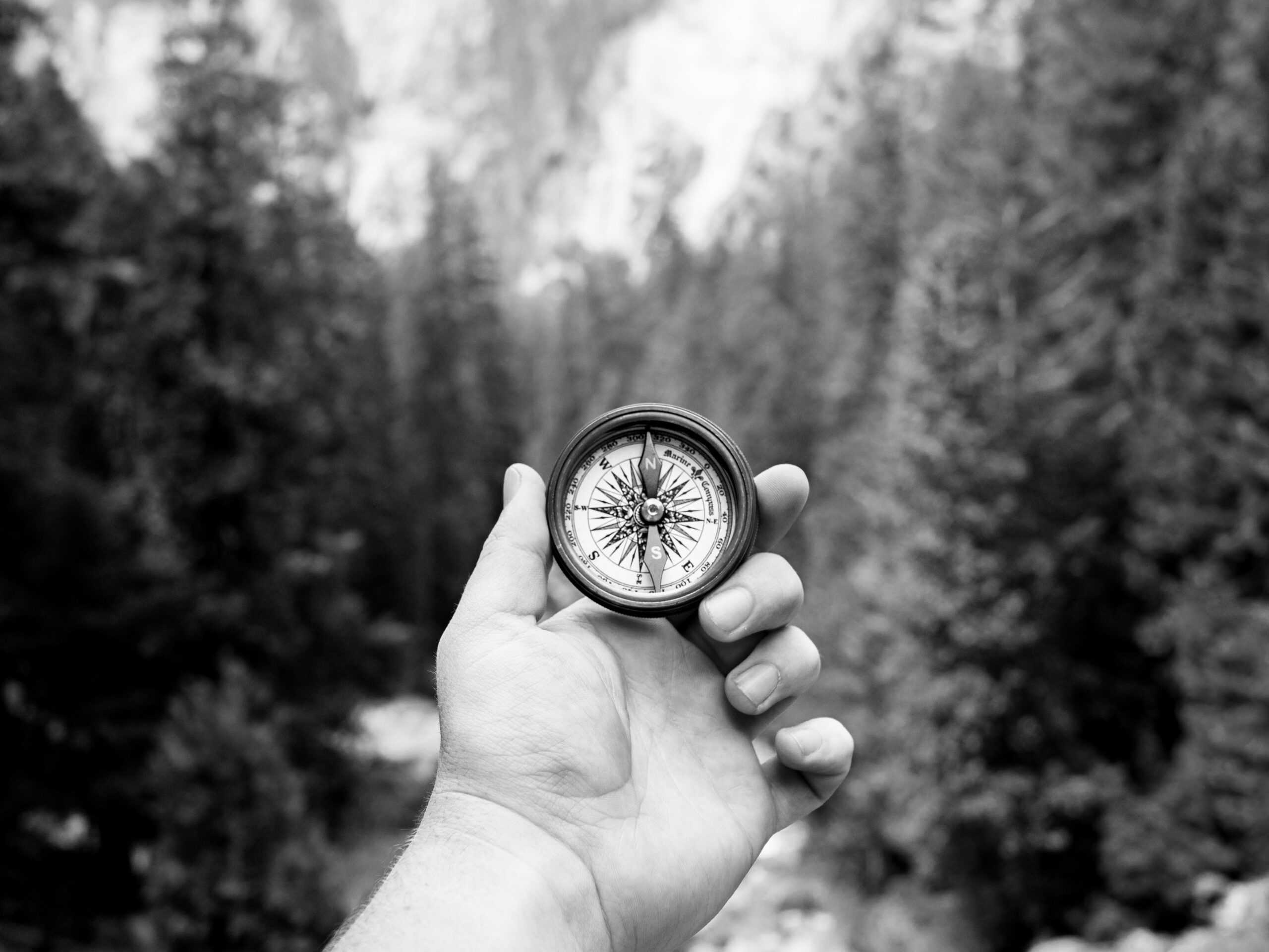 Finding Purpose in Christ - The Redeemed