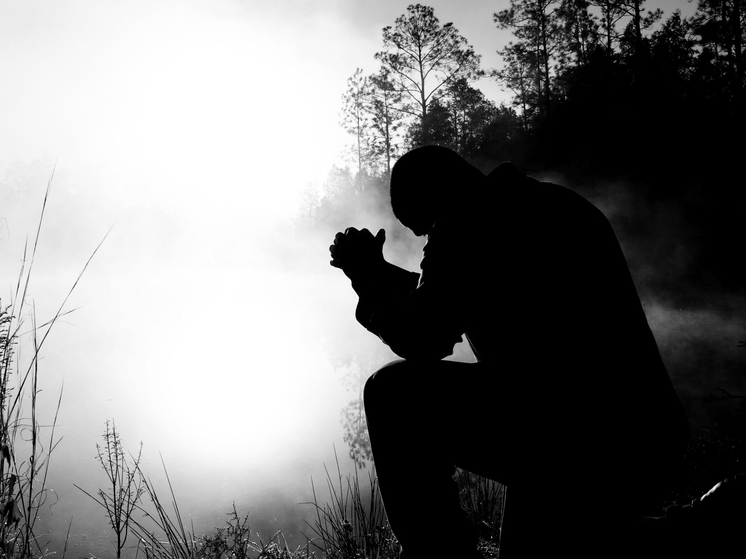 Stories of Lives Transformed by Christ - The Redeemed